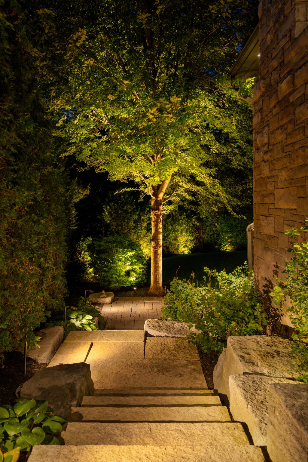 Creating Natural Outdoor Lighting Effects in your Garden