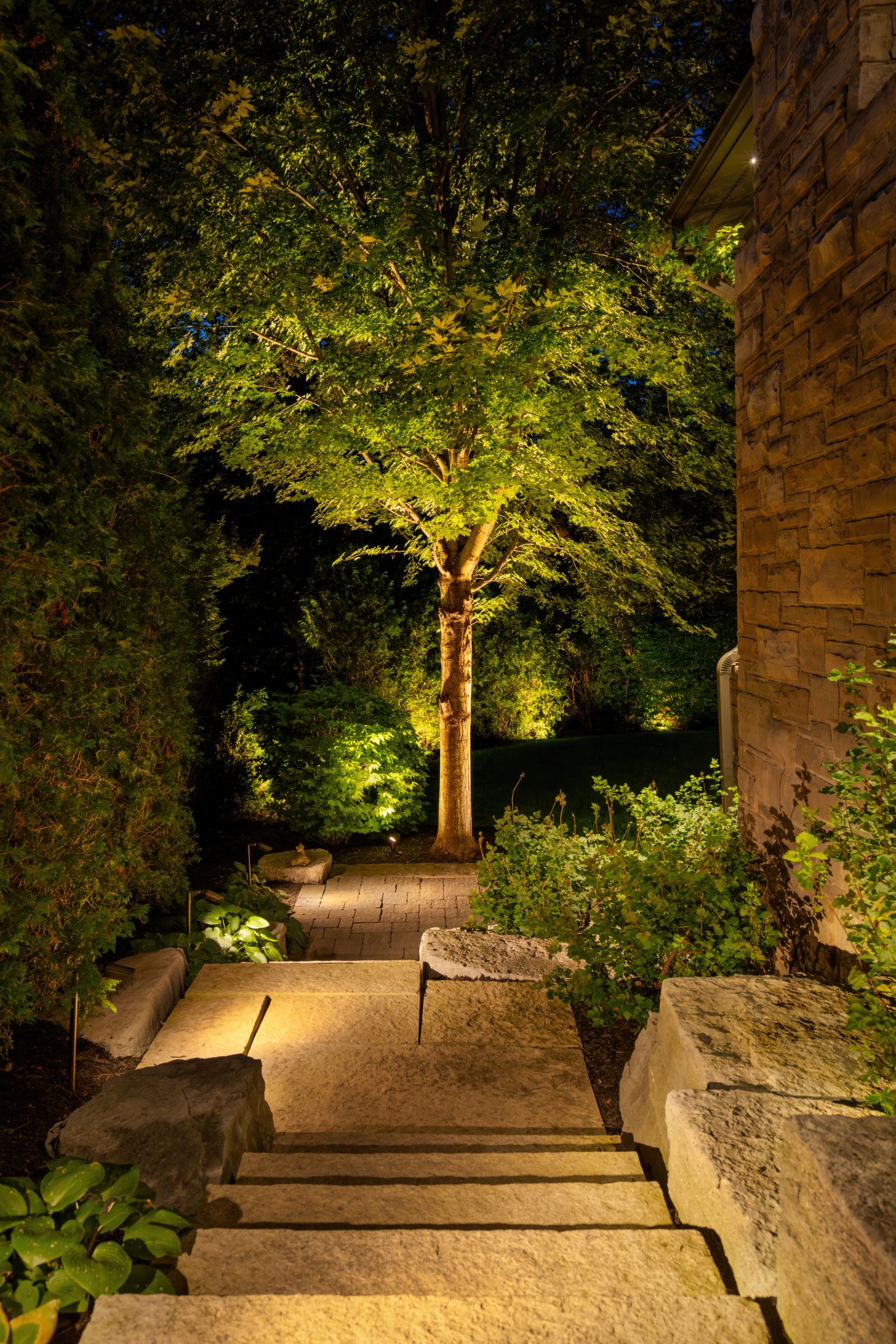 Creating Natural Outdoor Lighting Effects in your Garden